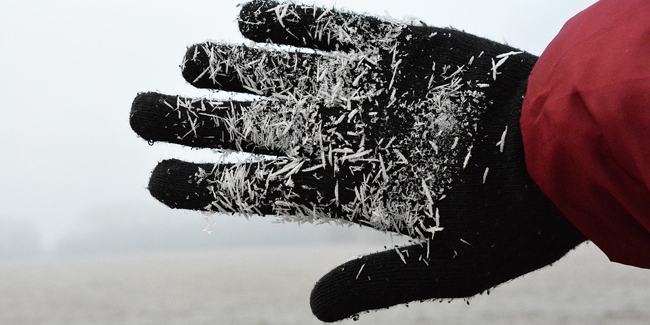 L'engelure : symptômes, causes, traitements et prévention